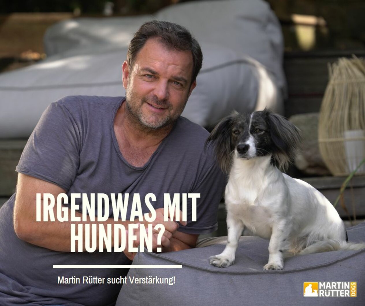 Wunderschone Martin Rutter Welpenstube Winkel Bild