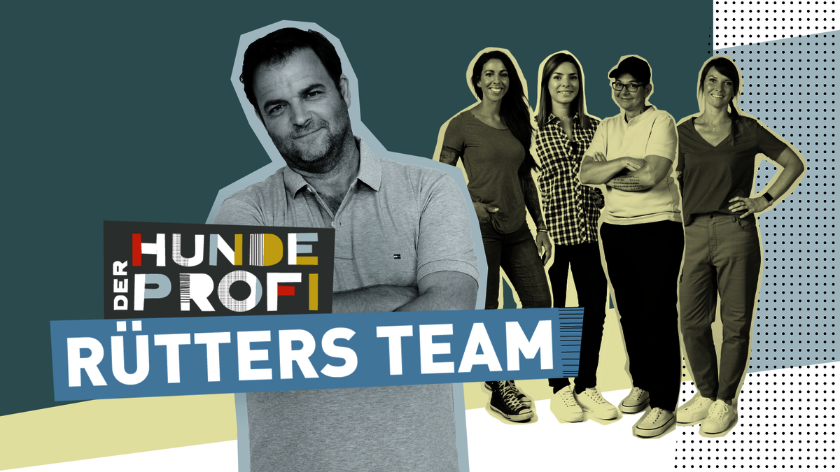 DER HUNDEPROFI - Rütters Team | Heidelberg / Mosbach