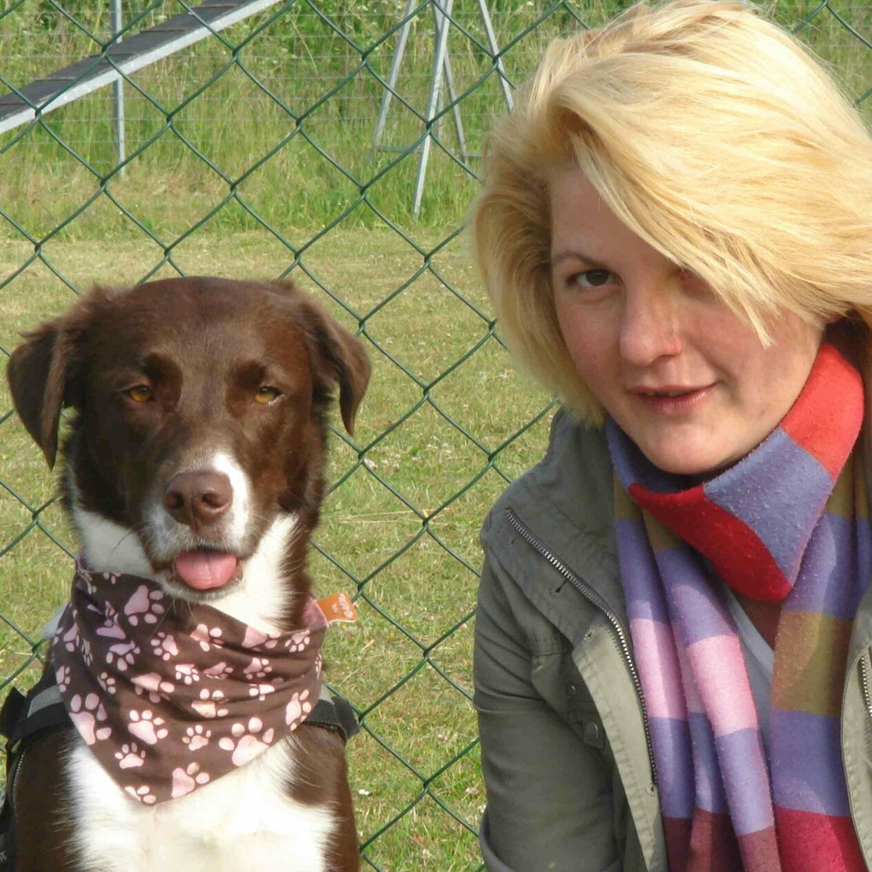 Hundeschule Pinneberg und Quickborn | Pinneberg / Quickborn